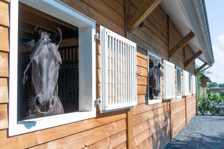 Project | Stal Assen | Geldersche Houtbouw
